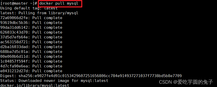 【docker】docker安装mysql Mysql Docker Csdn博客
