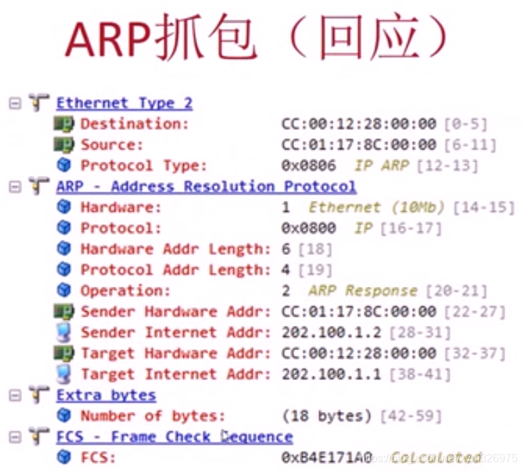 Python网络编程学习笔记之数据链路层与ARP_python arp编程-CSDN博客