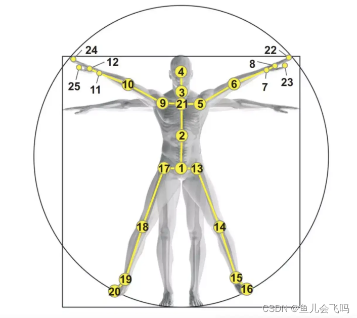 Spatial Temporal Graph Convolutional Networks For Skeleton Based Action Recognition Csdn博客