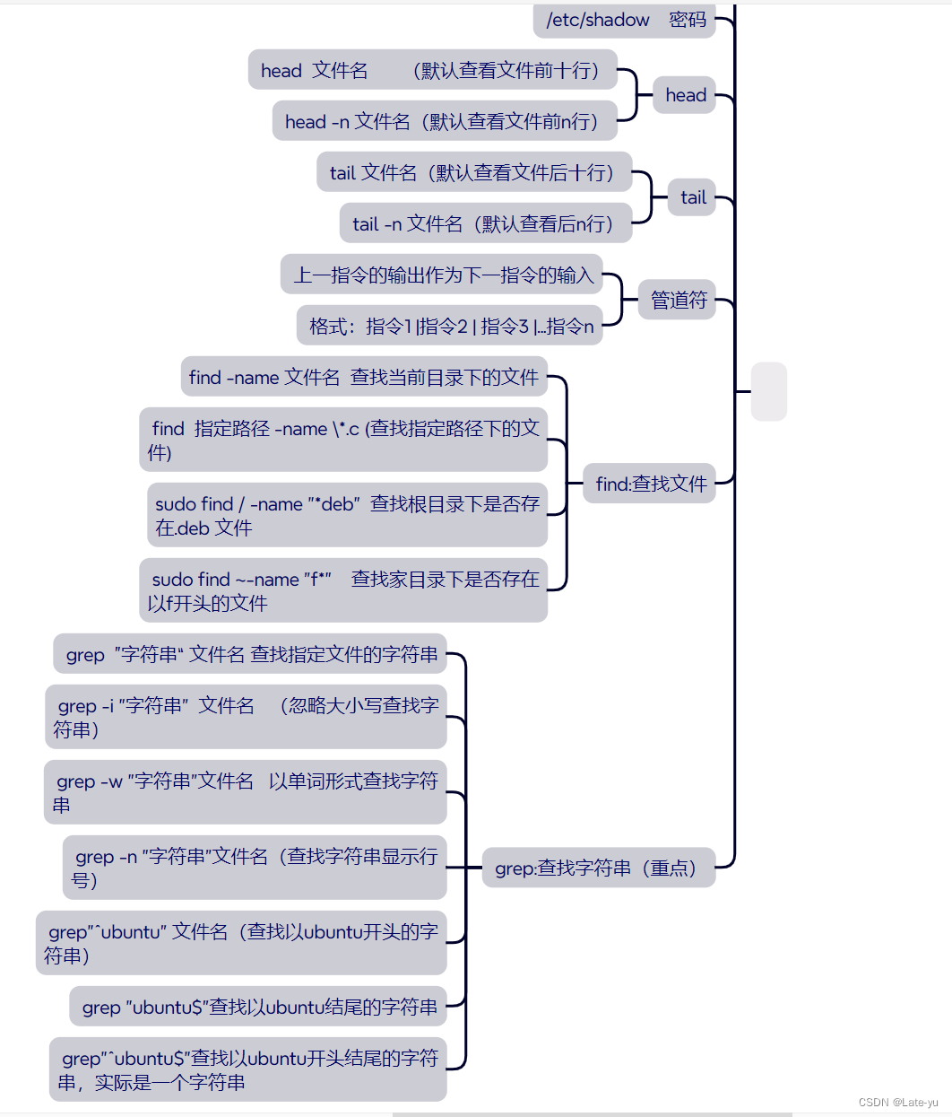 C高级DAY1-CSDN博客