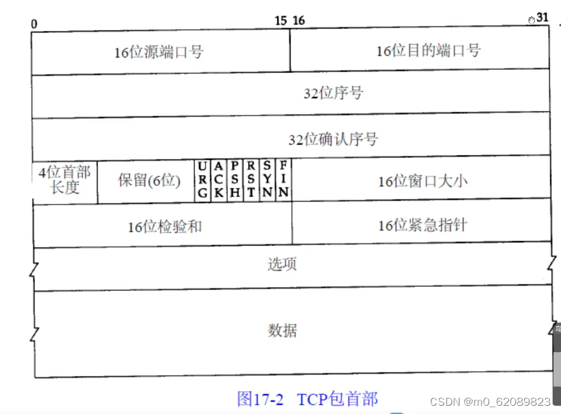 Unix C学习笔记19 网络基础，IP地址，套接字，相关函数，字节序转换，TCP协议，UDP协议_网络基础、ip地址、套接字unix-CSDN博客