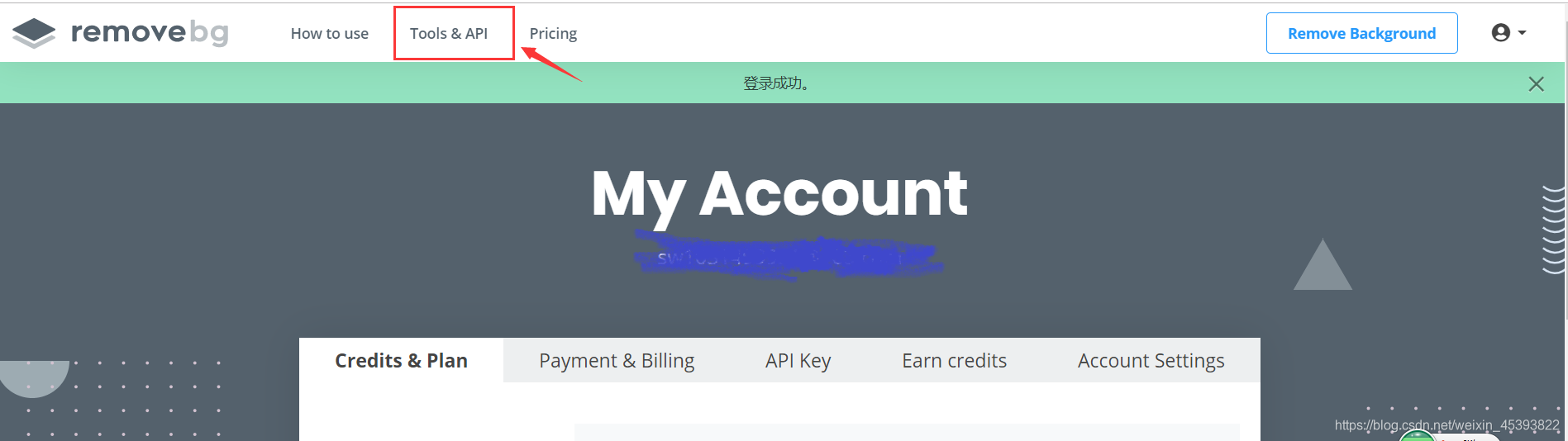 如何获取RemoveBg的API_rembg api-CSDN博客