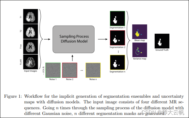 diffusion medical image segmentation_diffusion models for implicit image segmentation e-CSDN博客