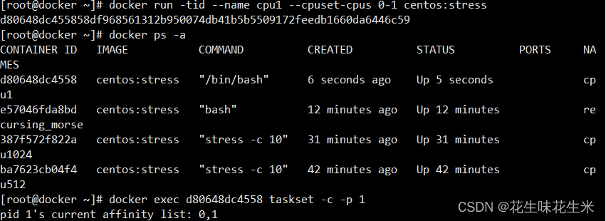 docker-Cgroup的应用_cgroup在docker中起到什么作用-CSDN博客
