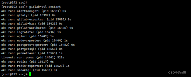 Devops平台之gitlab离线安装【一】validation Failed Password Must Not Contain Commo Csdn博客