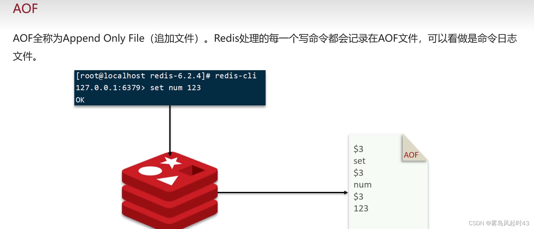 Redis数据备份：RDB与AOF解析及对比-CSDN博客