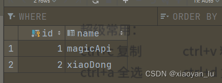 Magic-api,跟着官方快速入门出现Name for argument of type [java.lang.String] not specified, and parameter n ...