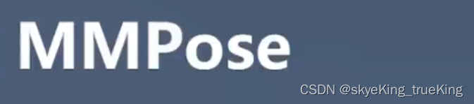 人体关键点检测与MMPose_基于热力图的关键点检测-CSDN博客