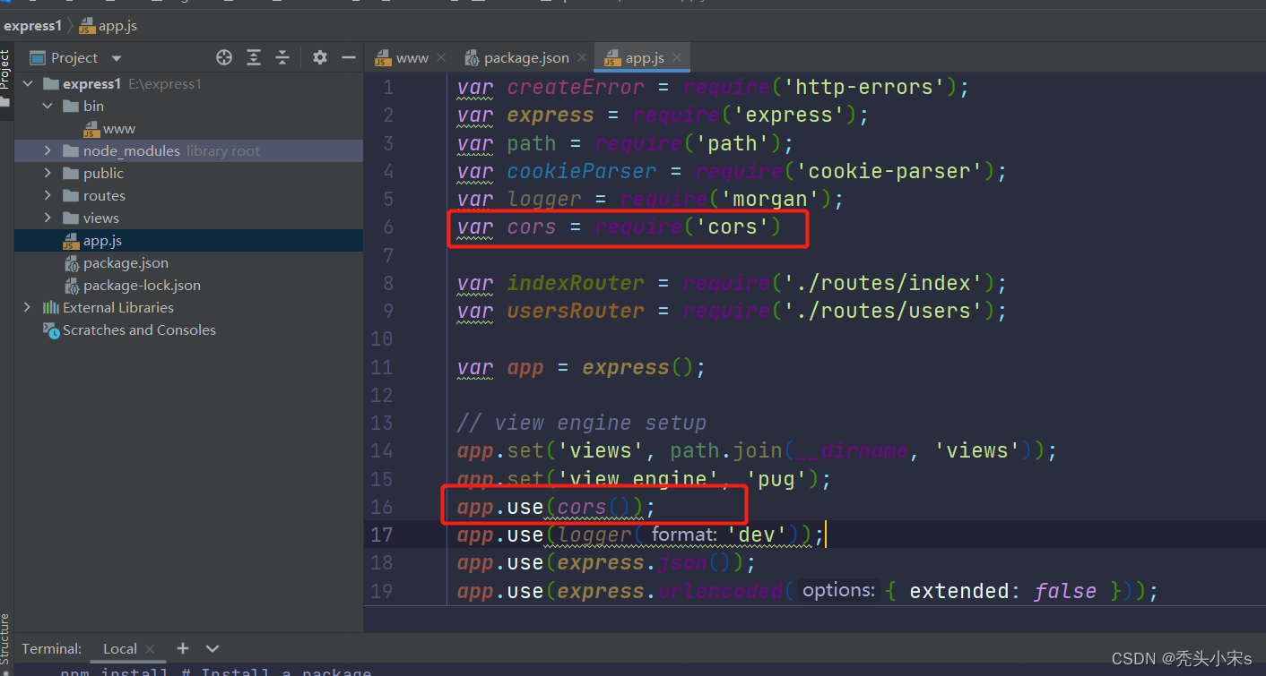 WebStorm创建第一个Express项目_webstorm怎么创建项目-CSDN博客