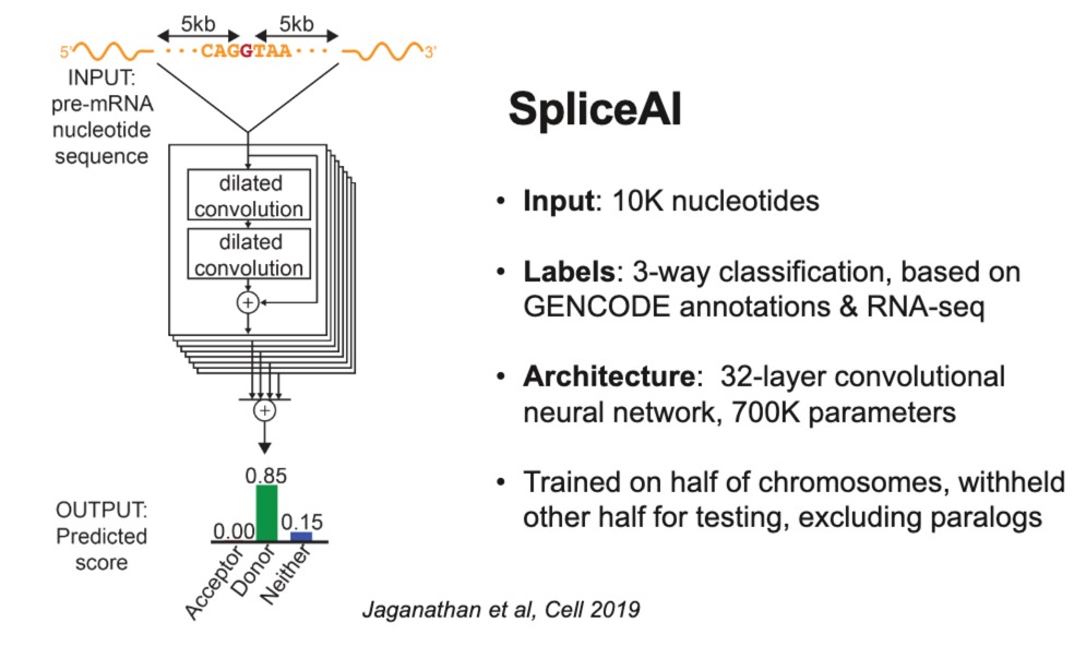 【Gene Expression Prediction】Part4 Predicting splicing from primary sequence_splice acceptor-CSDN博客