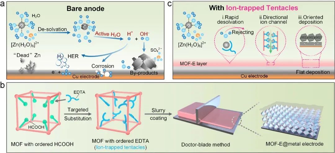 张凯团队Angew.：功能化MOF人工SEI实现5000次循环锌金属电池_edta分子接枝 mof-808-CSDN博客