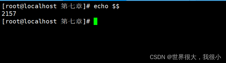 shell符号解释（持续更新）_shell -ne-CSDN博客