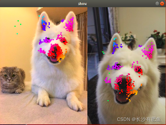 GMS特征匹配：C++, Python和Matlab实现-CSDN博客