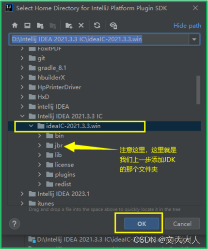 IntelliJ Platform-Plugins-环境搭建-CSDN博客