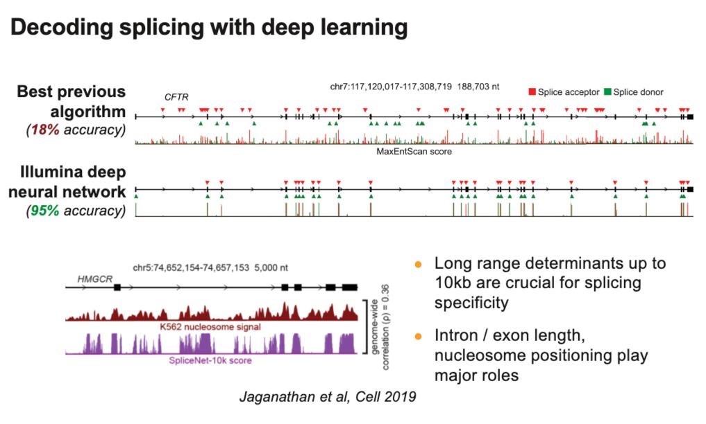 【Gene Expression Prediction】Part4 Predicting splicing from primary sequence_splice acceptor-CSDN博客