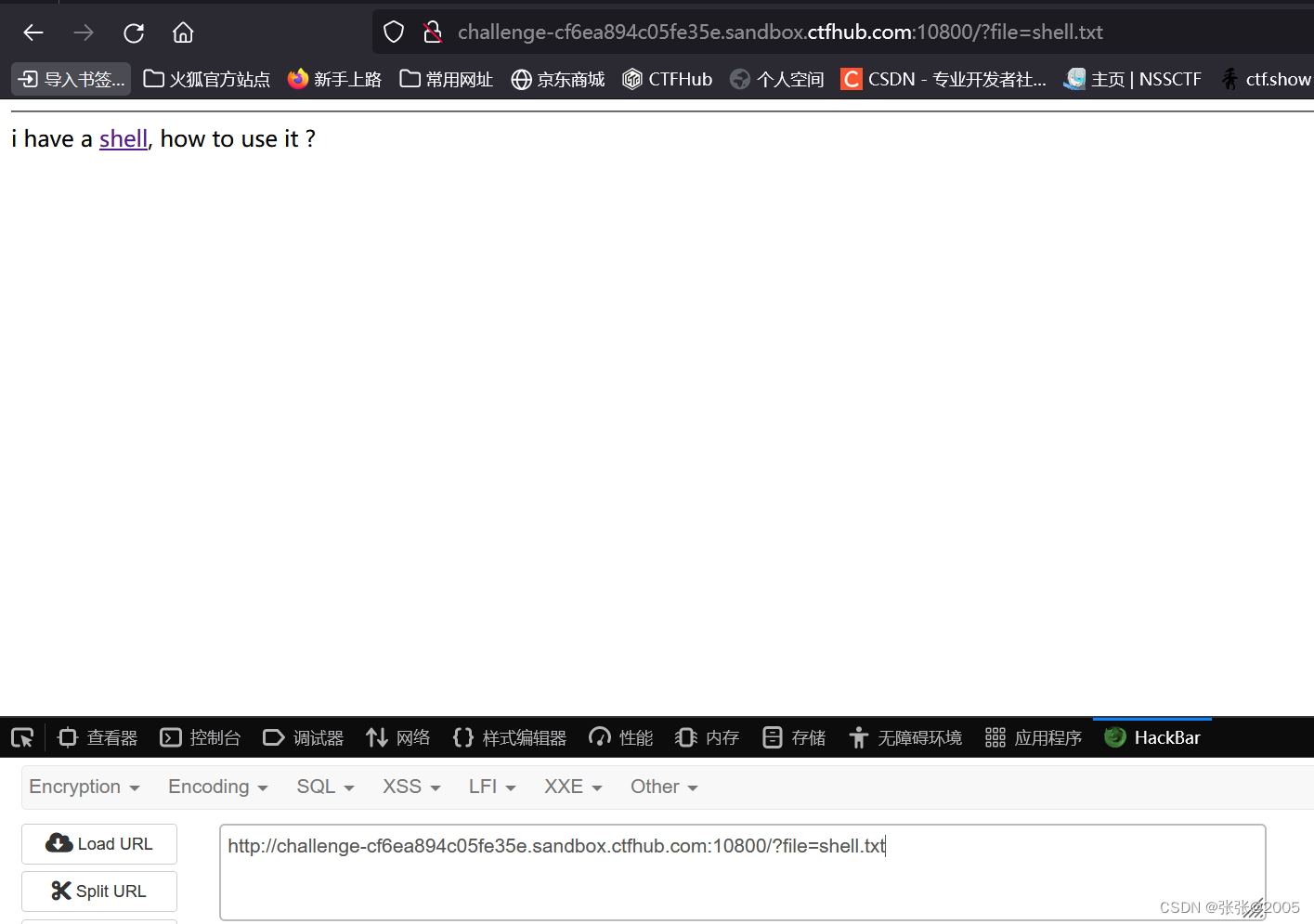 RCE复习（ctfhub上）_ctfs rce flag-CSDN博客