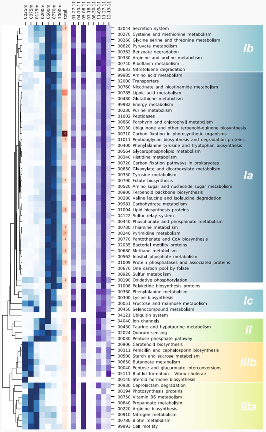 Microbiome|宏泛基因组揭示海洋细菌SAR324代谢潜力的依赖变化-CSDN博客