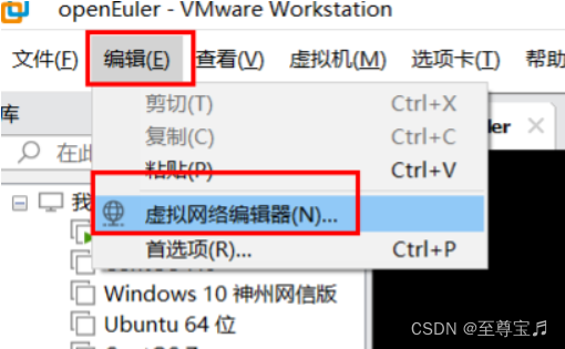 VMware16 pro 安装openEuler-23.09-x86_64，详细操作流程+详图。_vmware安装欧拉系统-CSDN博客