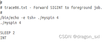 实验四-Shelllab实验（csapp、计算机系统外壳实验）_shell lab-CSDN博客