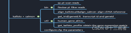 数据分析：转录组分析-kallisto或salmon的RNA-seq流程-CSDN博客