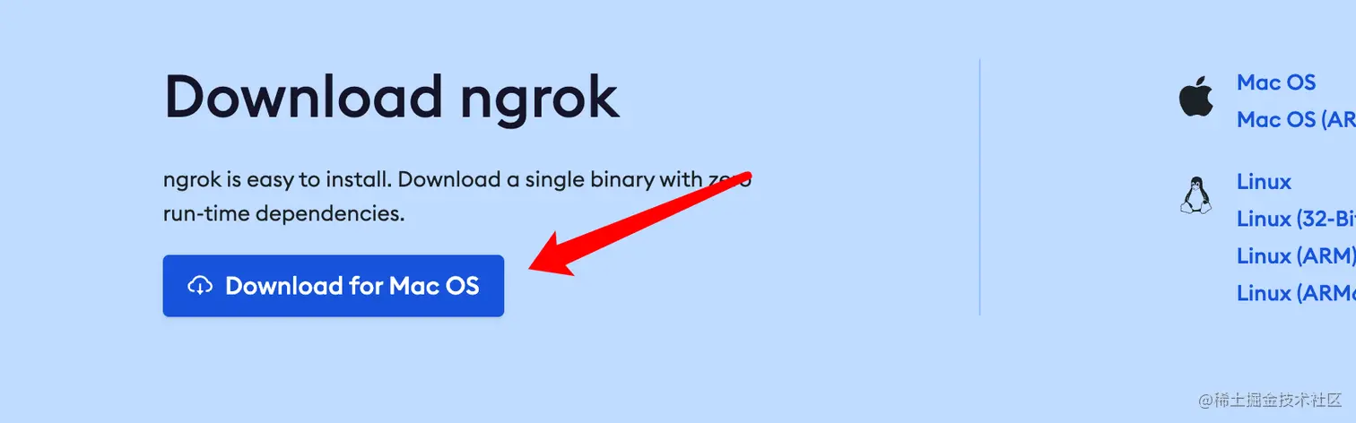 内网穿透：ngrok使用教程-CSDN博客