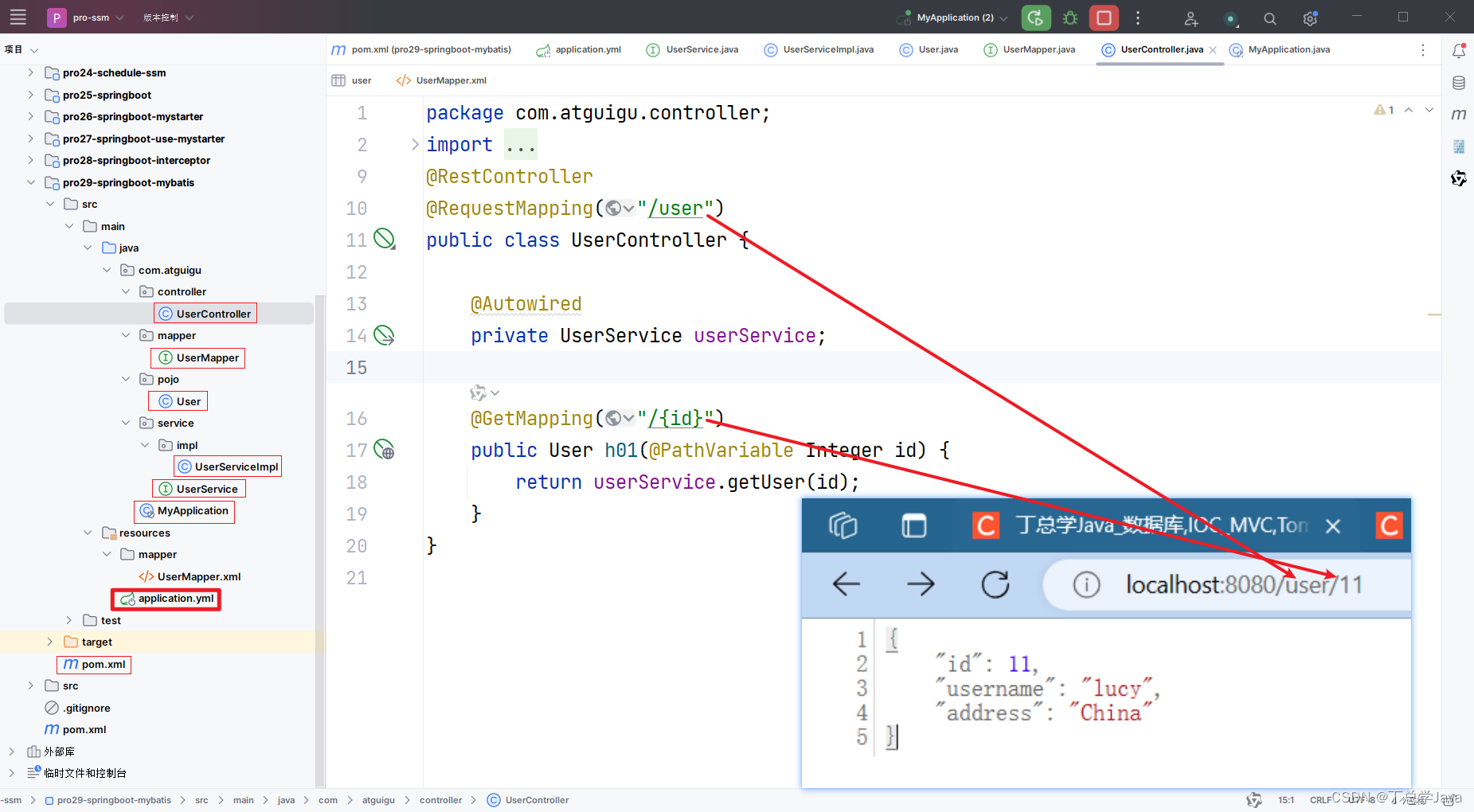 SpringBoot3-集成mybatis_springboot3集成mybatis-CSDN博客