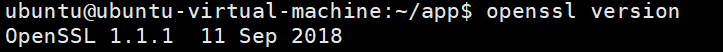 error while loading shared libraries: libssl.so.1.1: cannot open shared object file-CSDN博客