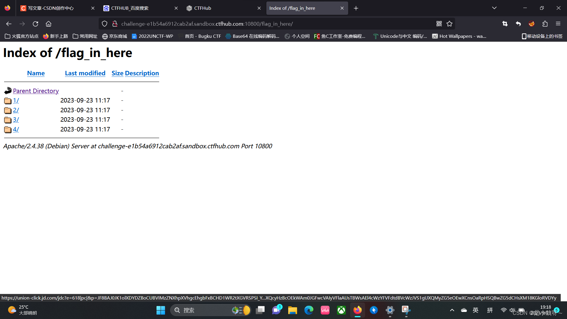 CTF入门：寻找隐藏的flag.txt-CSDN博客