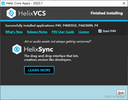 学习从零创建并配置一个P4服务器_helix core visua-CSDN博客