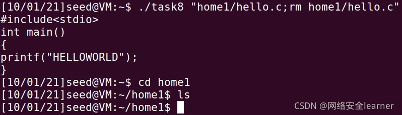 Environment Variable and Set-UID Program Lab-CSDN博客