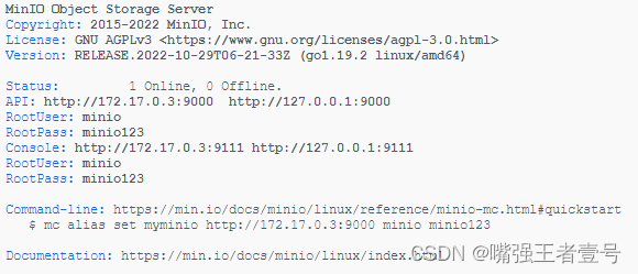 docker运行minio踩坑指南_minio docker 部署 docker run -d --privileged=true-CSDN博客