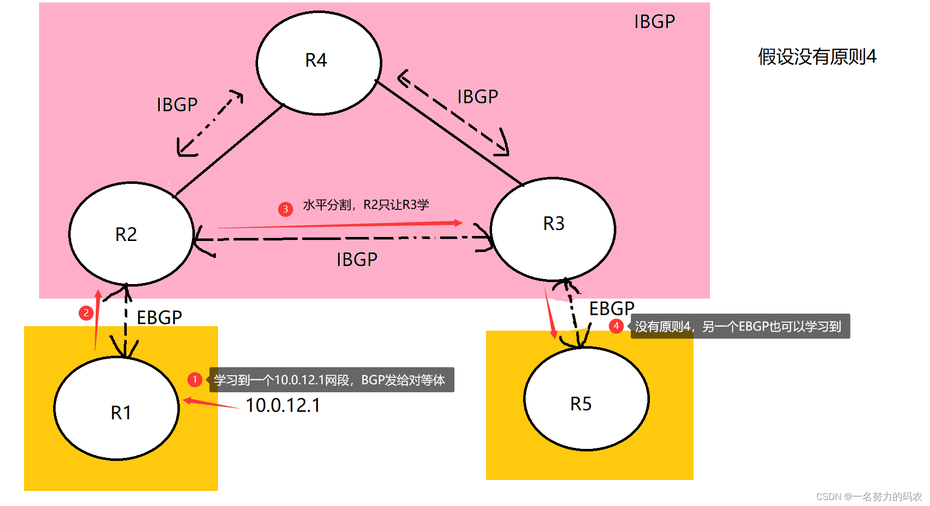 BGP学习二：BGP通告原则，BGP反射器，BGP路径属性细致讲解，新手小白无负担-CSDN博客