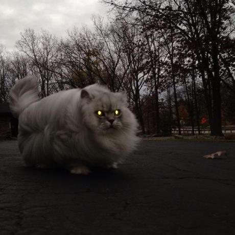 [Windows驱动开发] BlackBone介绍_blackbone编译-CSDN博客