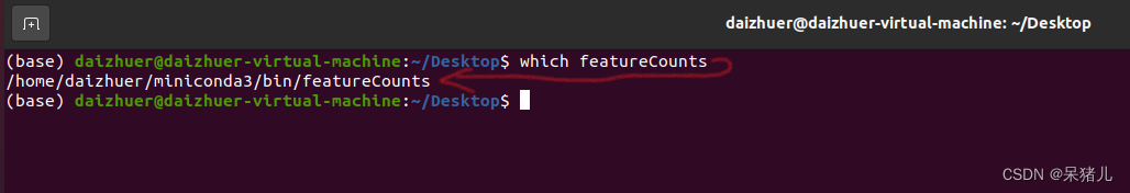 零基础入门转录组上游分析——第五章（表达定量）_--countreadpairs-CSDN博客