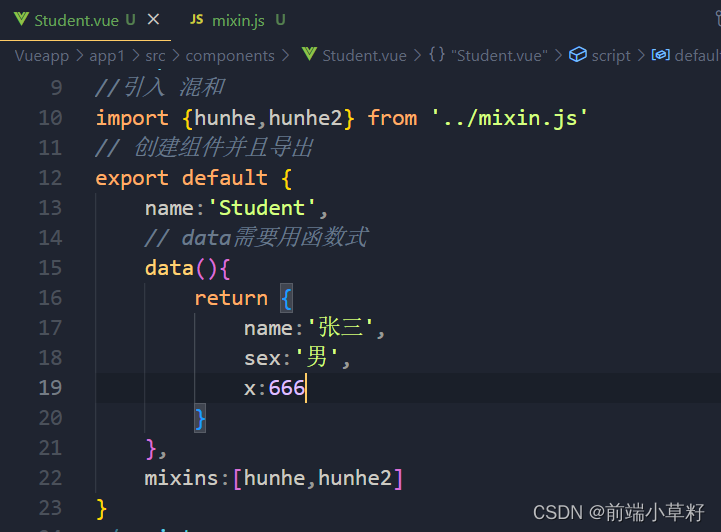 Vue中的mixin(混入)_vue全局mixin-CSDN博客