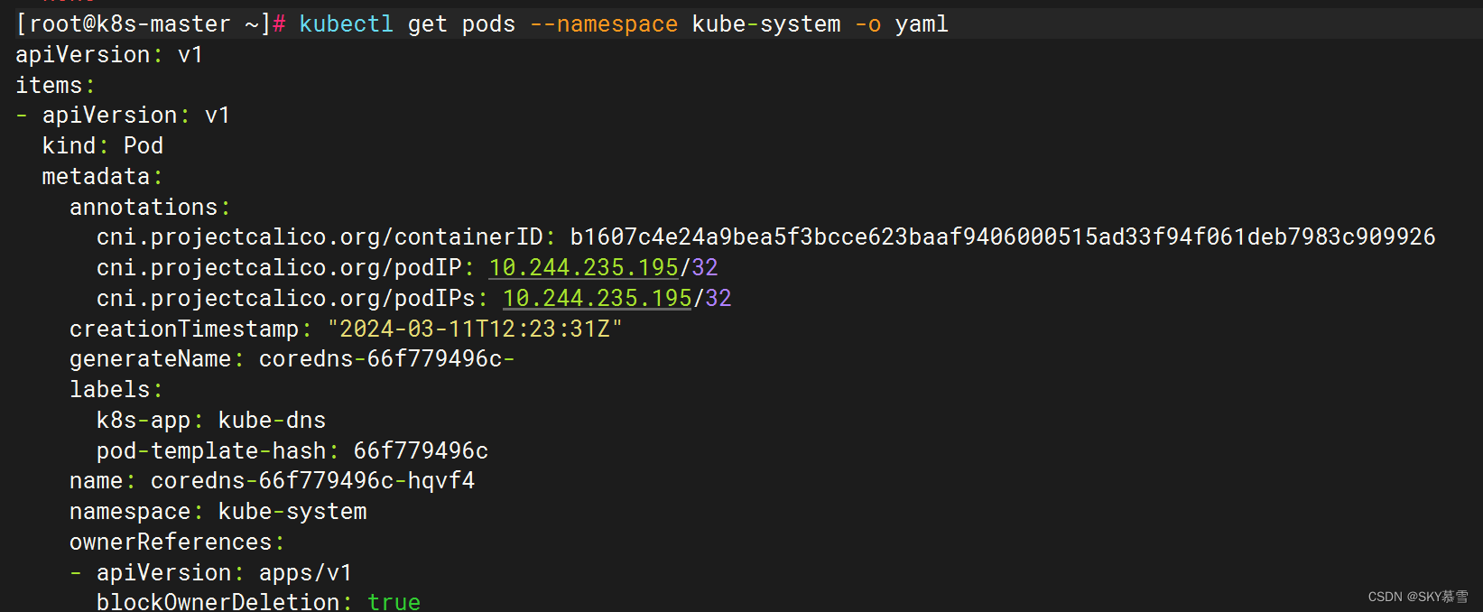 k8s-pod基本管理(namespace,pod增删查)_查看pod命令-CSDN博客