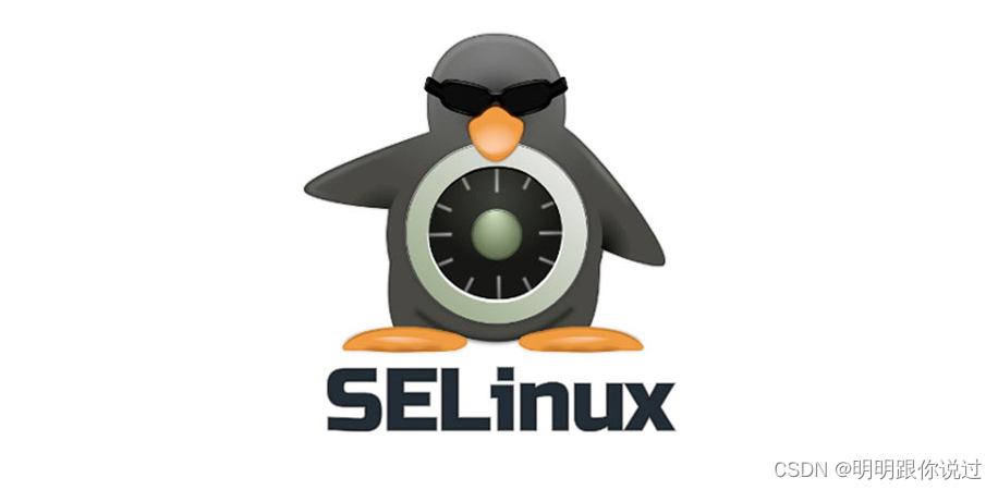 SELinux深度解析：安全增强型Linux的探索与应用（下）_selinux type-CSDN博客