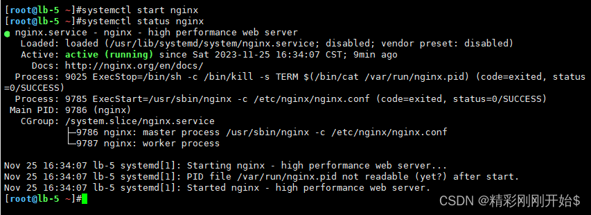 Job for nginx.service failed because the control process exited with error code. See “systemctl ...