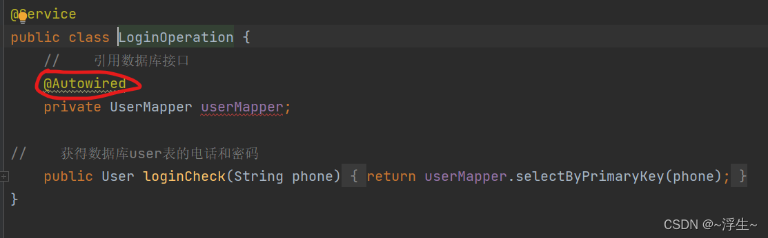 springBoot整合mybatis时自动注入为空_mapper注入为null-CSDN博客