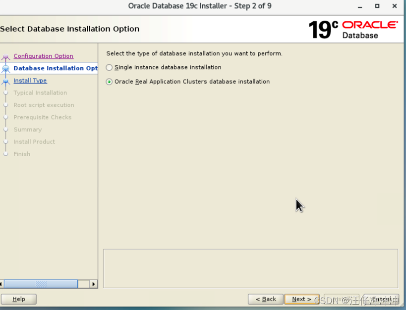 oracle 19c rac搭建详细攻略_oracle19c数据库实例-CSDN博客