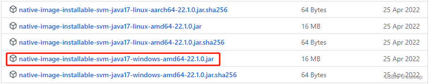 SpringNative GraalVM 打包 SpringBoot 为 Windows 的 exe 应用程序_springnative 打包-CSDN博客