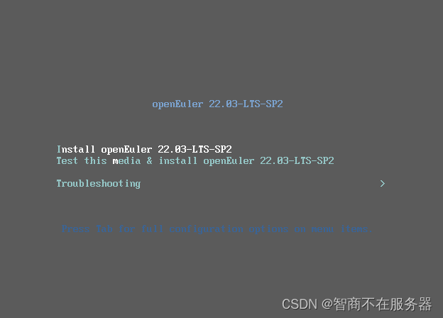 安装openeuler系统和ssh远程登录_openeuler ssh-CSDN博客