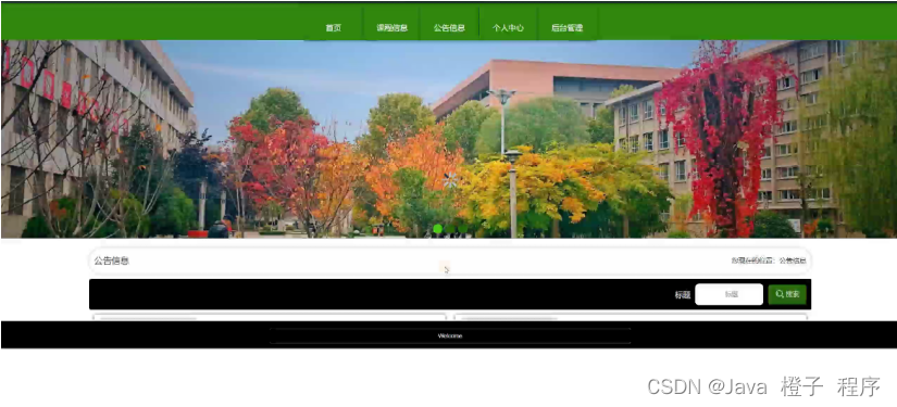 计算机毕业设计nodejsvue高校学生选课系统(程序源码lw部署基于vuejs的高校在线选课系统的设计与实现总结与展望 Csdn博客