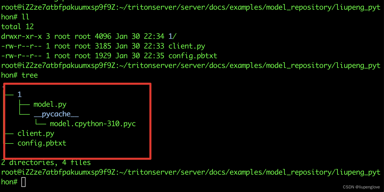tritonserver学习之六：自定义c++、python custom backend实践_triton c++-CSDN博客