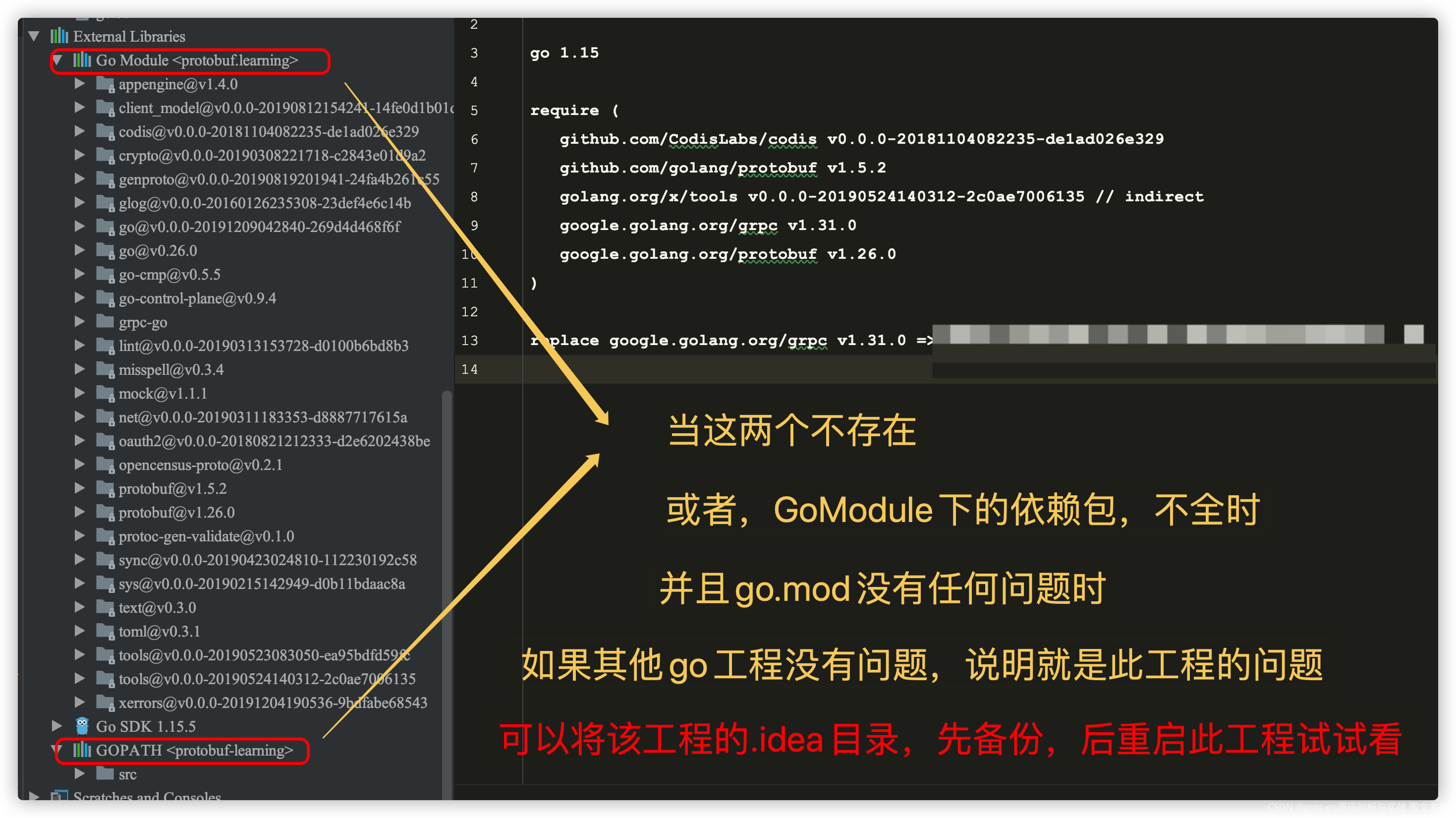 goland下external libraries里缺少GOPATH或者GoModule导致经常执行go list -m -json all_goland自动执行go list-CSDN博客