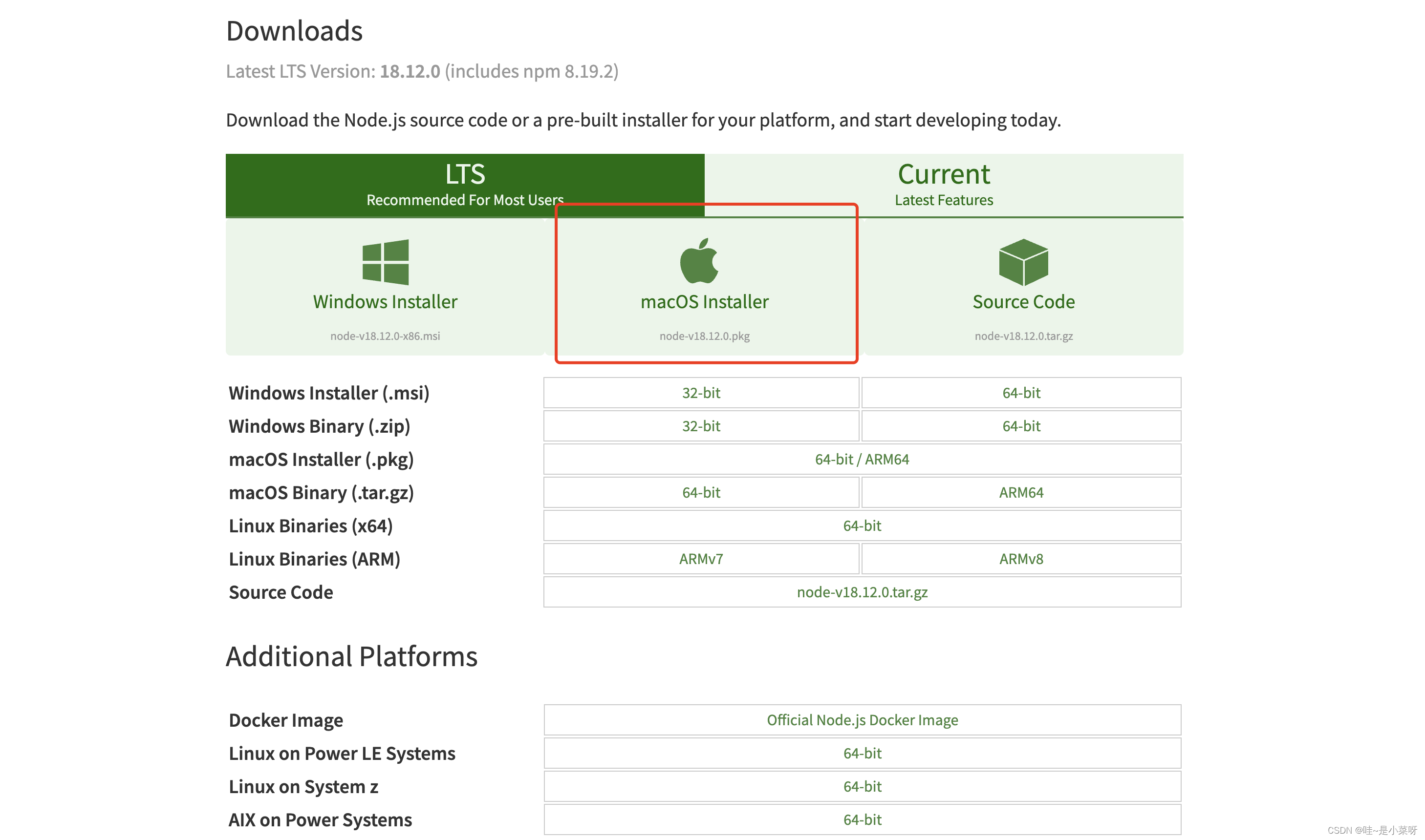 MacOs安装nodejs/npm——vsCode启动前端项目_npm for mac-CSDN博客
