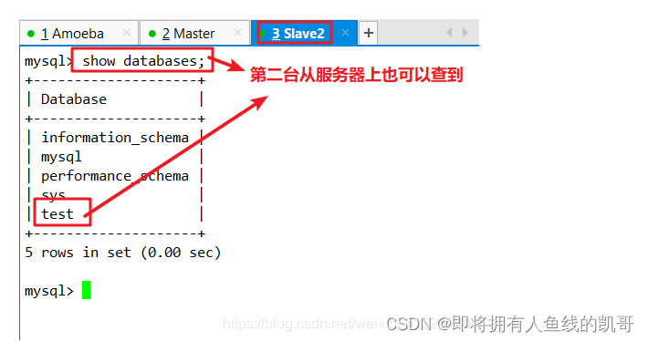 Mysql主从复制与读写分离数据库读写分离 Csdn博客