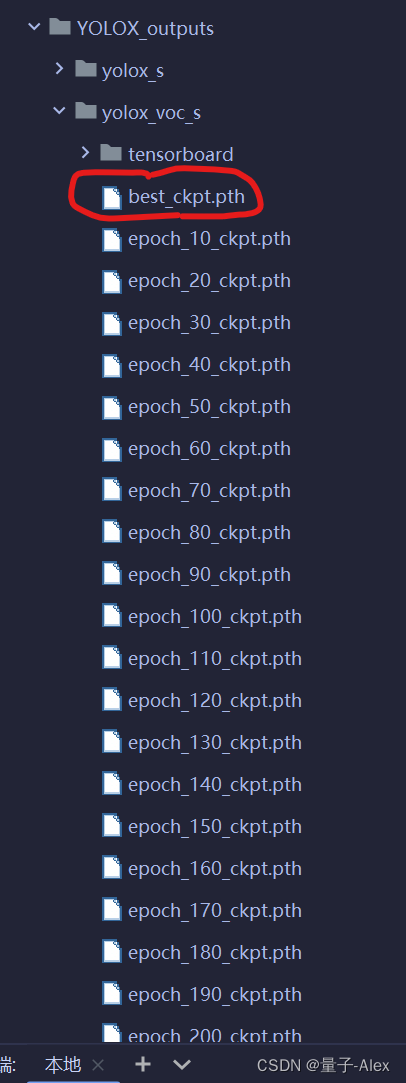 【YOLO&Pytorch】从0开始的基于Pytorch的YOLO系列项目理论＋实战部署03 VoTT数据标注工具标注视频数据集+YOLOX模型部署训练全过程（所有坑都遇到了并成功解决了 ...